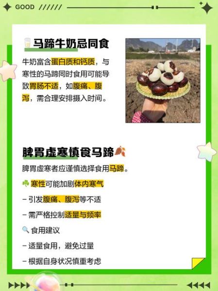 马蹄不能和什么一起吃_马蹄与哪些食物相克-第3张图片-山城妙识 马蹄不能和什么一起吃_马蹄与哪些食物相克-第3张图片-山城妙识
