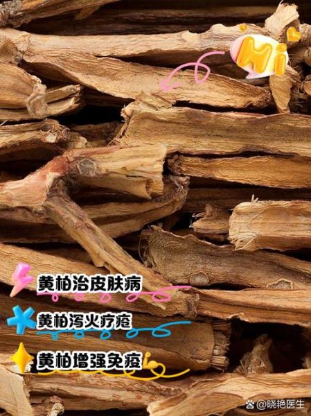 黄柏的功效与作用及禁忌_什么人不能吃黄柏-第3张图片-山城妙识 黄柏的功效与作用及禁忌_什么人不能吃黄柏-第3张图片-山城妙识