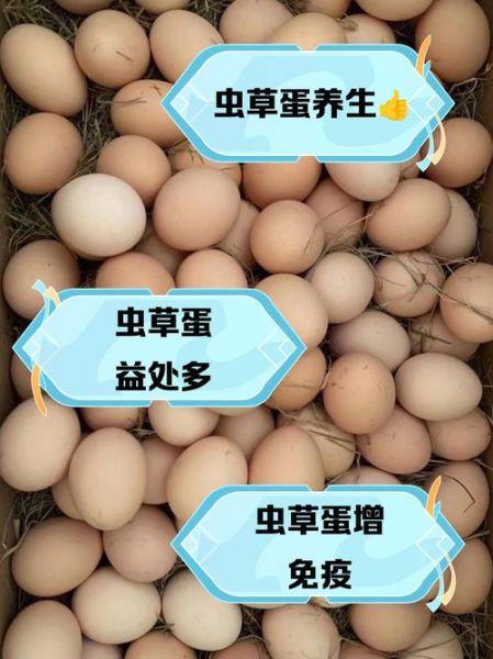 虫草鸡蛋的功效与作用_虫草鸡蛋适合什么人吃-第1张图片-山城妙识 虫草鸡蛋的功效与作用_虫草鸡蛋适合什么人吃-第1张图片-山城妙识