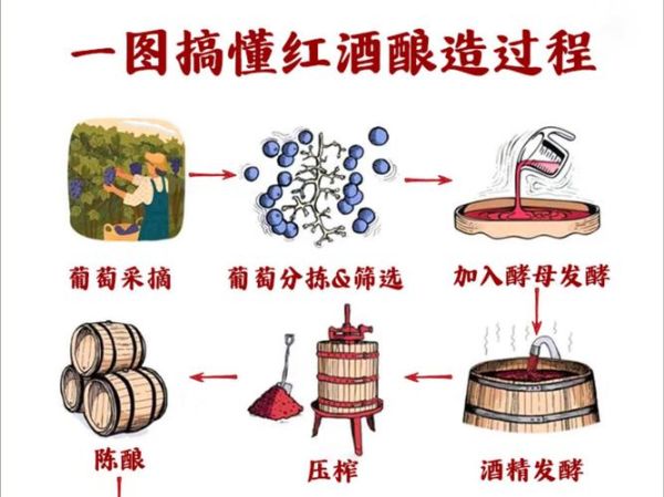 葡萄酒自制详细方法_如何在家酿葡萄酒-第3张图片-山城妙识 葡萄酒自制详细方法_如何在家酿葡萄酒-第3张图片-山城妙识
