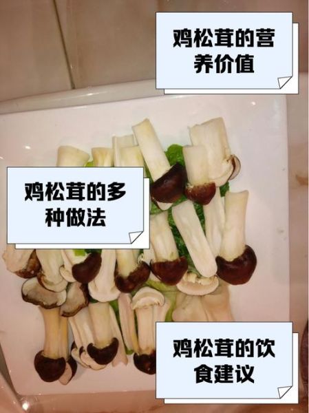 松茸炖鸡的做法窍门_松茸炖鸡怎么炖才香-第2张图片-山城妙识 松茸炖鸡的做法窍门_松茸炖鸡怎么炖才香-第2张图片-山城妙识