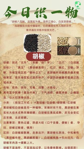 白胡椒和黑胡椒的区别_哪个更好-第1张图片-山城妙识 白胡椒和黑胡椒的区别_哪个更好-第1张图片-山城妙识