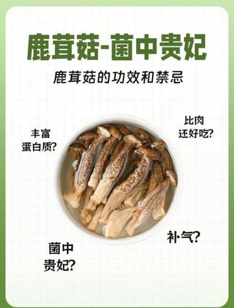 鹿茸的功效与作用吃法_鹿茸怎么吃效果最好-第1张图片-山城妙识 鹿茸的功效与作用吃法_鹿茸怎么吃效果最好-第1张图片-山城妙识