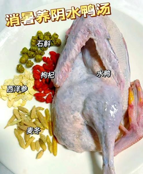 鸭汤怎么炖好喝又营养_鸭汤的做法大全-第3张图片-山城妙识 鸭汤怎么炖好喝又营养_鸭汤的做法大全-第3张图片-山城妙识