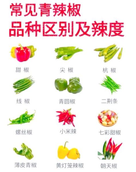 中国最辣的辣椒排名_到底有多辣-第2张图片-山城妙识 中国最辣的辣椒排名_到底有多辣-第2张图片-山城妙识