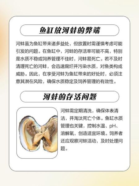 河蚌放在清水里能活吗_清水养河蚌能活多久-第3张图片-山城妙识 河蚌放在清水里能活吗_清水养河蚌能活多久-第3张图片-山城妙识
