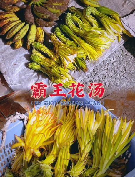 霸王花煲汤的功效与作用_孕妇能喝吗-第3张图片-山城妙识 霸王花煲汤的功效与作用_孕妇能喝吗-第3张图片-山城妙识