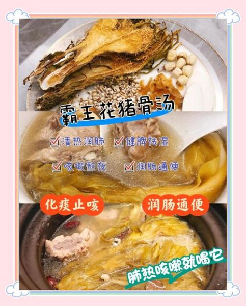 霸王花煲汤的功效与作用_孕妇能喝吗-第2张图片-山城妙识 霸王花煲汤的功效与作用_孕妇能喝吗-第2张图片-山城妙识