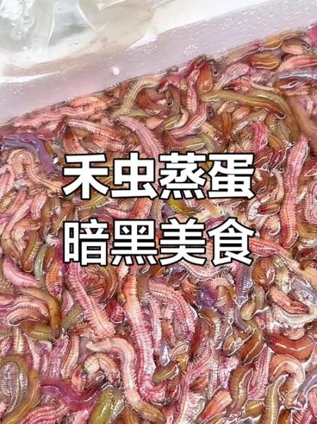 禾虫怎么做好吃_禾虫的家常做法-第3张图片-山城妙识 禾虫怎么做好吃_禾虫的家常做法-第3张图片-山城妙识