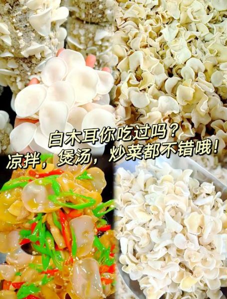 白色的木耳能吃吗_白色的木耳怎么做好吃-第3张图片-山城妙识 白色的木耳能吃吗_白色的木耳怎么做好吃-第3张图片-山城妙识