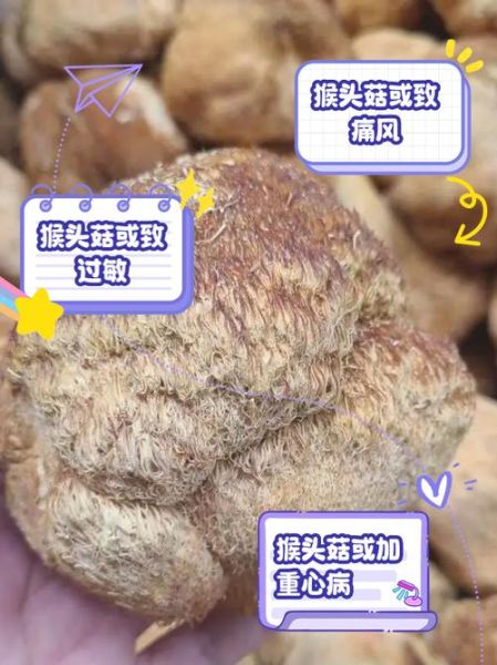 猴头菇对肝脏的危害_长期吃会伤肝吗-第3张图片-山城妙识 猴头菇对肝脏的危害_长期吃会伤肝吗-第3张图片-山城妙识