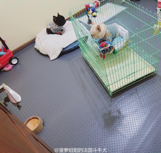 菠萝姐姐手工坊怎么样_菠萝姐姐手工坊值得去吗-第2张图片-山城妙识 菠萝姐姐手工坊怎么样_菠萝姐姐手工坊值得去吗-第2张图片-山城妙识