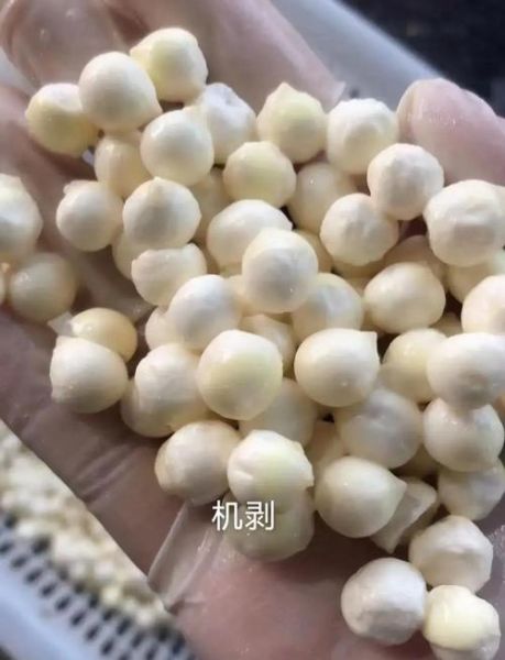 鸡头米怎么剥壳最省事_鸡头米快速去壳技巧-第1张图片-山城妙识 鸡头米怎么剥壳最省事_鸡头米快速去壳技巧-第1张图片-山城妙识