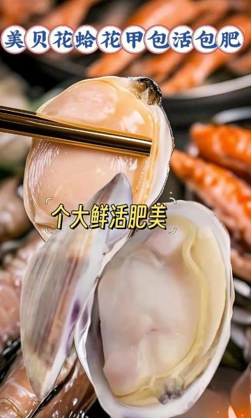 蛤蜊和花甲哪个贵_价格差异有多大-第2张图片-山城妙识 蛤蜊和花甲哪个贵_价格差异有多大-第2张图片-山城妙识