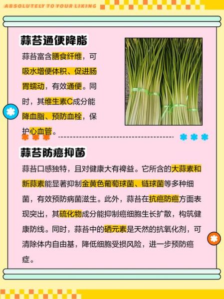 蒜苔的功效与作用有哪些_蒜苔吃多了有什么害处-第2张图片-山城妙识 蒜苔的功效与作用有哪些_蒜苔吃多了有什么害处-第2张图片-山城妙识