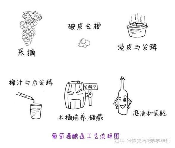 自酿葡萄酒怎么去甲醇_如何降低甲醇含量-第2张图片-山城妙识 自酿葡萄酒怎么去甲醇_如何降低甲醇含量-第2张图片-山城妙识