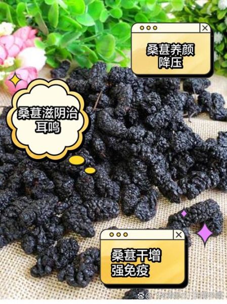 桑椹子图片_桑椹子功效与作用-第3张图片-山城妙识