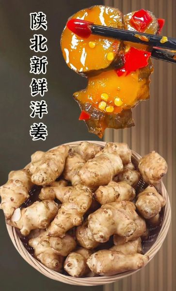 鲜洋姜怎么吃_鲜洋姜的做法大全-第1张图片-山城妙识 鲜洋姜怎么吃_鲜洋姜的做法大全-第1张图片-山城妙识