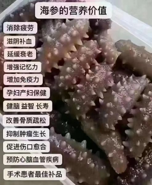 6年海参一斤多少头_一斤6年海参一般几个-第3张图片-山城妙识