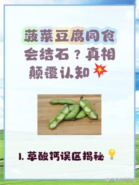 菠菜豆腐鸡蛋能一起吃吗_菠菜鸡蛋豆腐相克真相-第2张图片-山城妙识