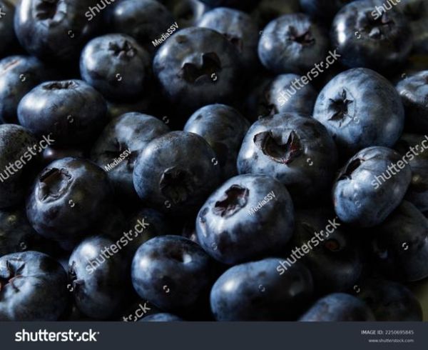 how_to_store_blueberries_fresh_longer_do_blueberries_need_washing-第1张图片-山城妙识 how_to_store_blueberries_fresh_longer_do_blueberries_need_washing-第1张图片-山城妙识