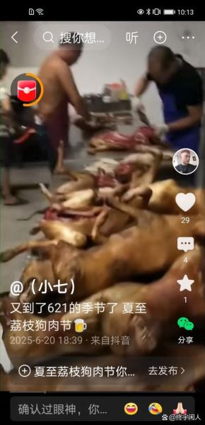 玉林狗肉节视频_玉林狗肉节争议-第1张图片-山城妙识 玉林狗肉节视频_玉林狗肉节争议-第1张图片-山城妙识