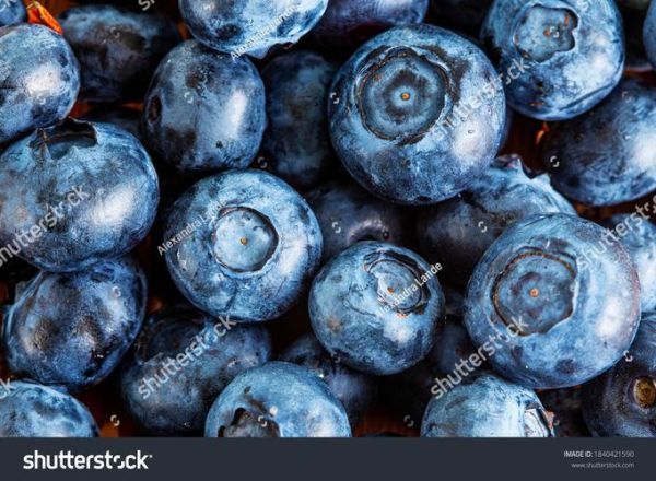 how_to_store_blueberries_fresh_longer_do_blueberries_need_washing-第3张图片-山城妙识 how_to_store_blueberries_fresh_longer_do_blueberries_need_washing-第3张图片-山城妙识