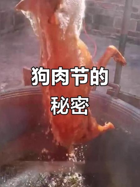 玉林狗肉节视频_玉林狗肉节争议-第3张图片-山城妙识 玉林狗肉节视频_玉林狗肉节争议-第3张图片-山城妙识