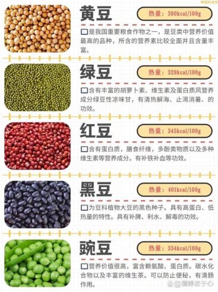 菽是什么作物_菽的种植价值与历史-第1张图片-山城妙识 菽是什么作物_菽的种植价值与历史-第1张图片-山城妙识