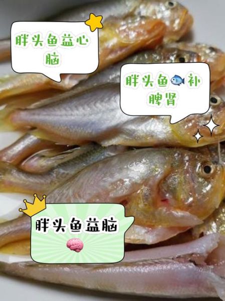 鳙鱼的营养价值及功效_鳙鱼怎么吃最补脑-第2张图片-山城妙识 鳙鱼的营养价值及功效_鳙鱼怎么吃最补脑-第2张图片-山城妙识