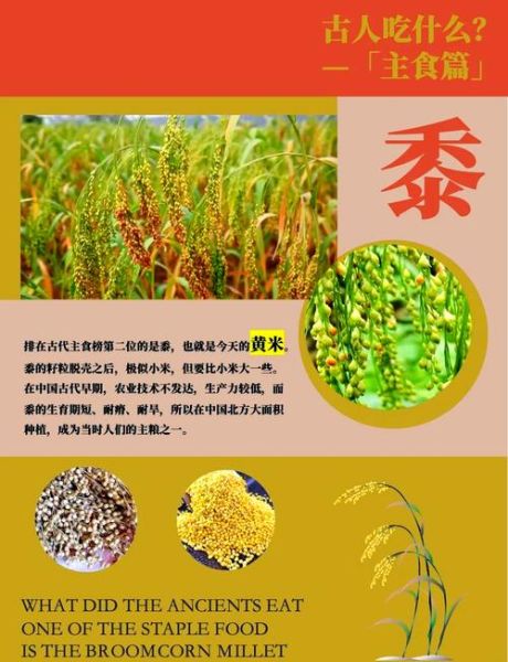菽是什么作物_菽的种植价值与历史-第3张图片-山城妙识 菽是什么作物_菽的种植价值与历史-第3张图片-山城妙识