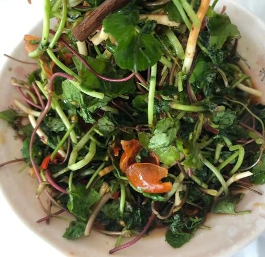 马蹄草副作用有哪些_马蹄草禁忌人群-第1张图片-山城妙识 马蹄草副作用有哪些_马蹄草禁忌人群-第1张图片-山城妙识