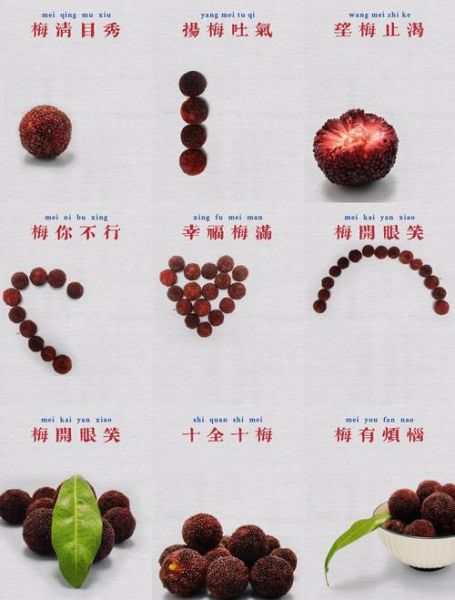 杨梅怎么腌制好吃_杨梅腌制方法步骤-第2张图片-山城妙识 杨梅怎么腌制好吃_杨梅腌制方法步骤-第2张图片-山城妙识