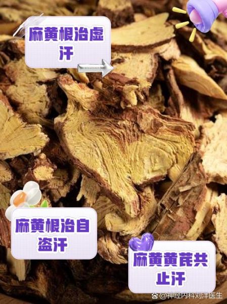 麻根的功效与作用_麻根能治疗哪些疾病-第1张图片-山城妙识 麻根的功效与作用_麻根能治疗哪些疾病-第1张图片-山城妙识