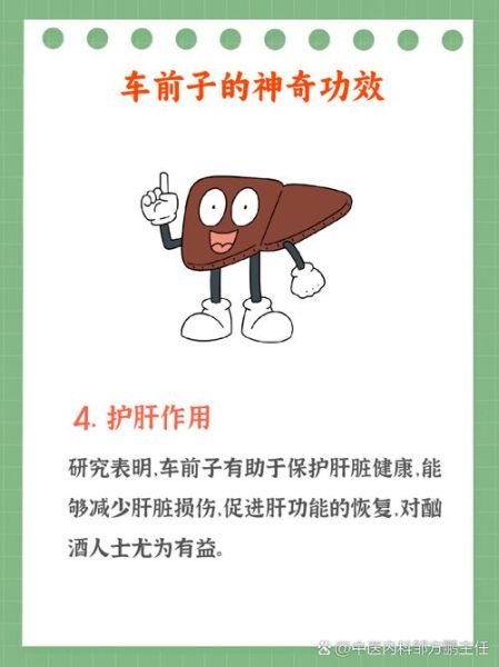 车前子能治疗哪些病_车前子泡水喝的功效-第3张图片-山城妙识 车前子能治疗哪些病_车前子泡水喝的功效-第3张图片-山城妙识