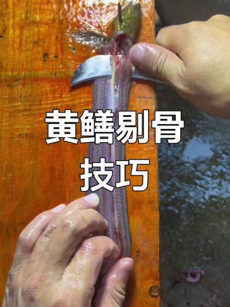 黄鳝要先开水烫死再杀吗_黄鳝怎么处理干净-第1张图片-山城妙识