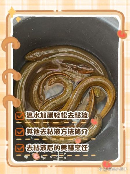 黄鳝要先开水烫死再杀吗_黄鳝怎么处理干净-第2张图片-山城妙识