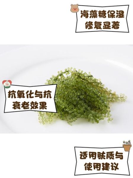 海藻糖对皮肤的作用_海藻糖修复屏障吗-第1张图片-山城妙识
