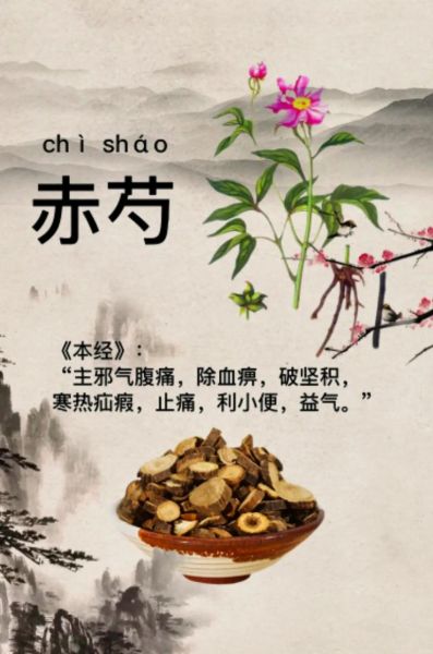 赤芍的功效与作用有哪些_赤芍的禁忌症是什么-第2张图片-山城妙识