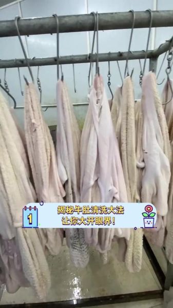 牛肚怎么清洗才能干净没有味道_牛肚去腥除味正确步骤-第3张图片-山城妙识 牛肚怎么清洗才能干净没有味道_牛肚去腥除味正确步骤-第3张图片-山城妙识