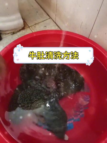 牛肚怎么清洗才能干净没有味道_牛肚去腥除味正确步骤-第1张图片-山城妙识 牛肚怎么清洗才能干净没有味道_牛肚去腥除味正确步骤-第1张图片-山城妙识