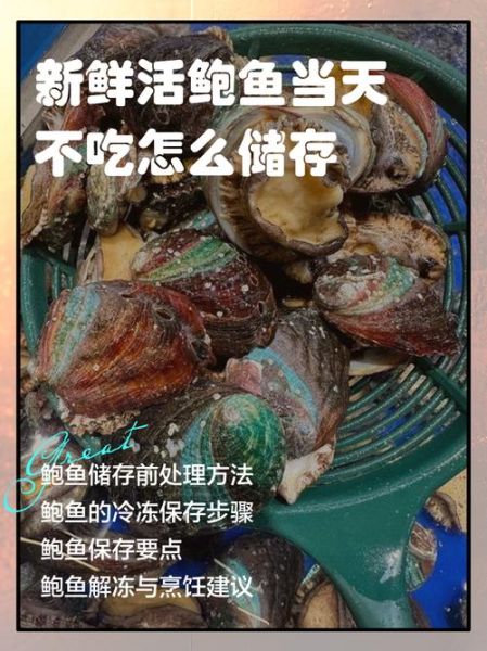 鲍鱼怎么保存最新鲜_活鲍鱼放冰箱能活几天-第1张图片-山城妙识 鲍鱼怎么保存最新鲜_活鲍鱼放冰箱能活几天-第1张图片-山城妙识