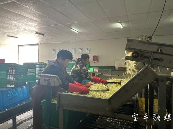 豆腐加工厂赚钱吗_2024年豆腐产业前景如何-第3张图片-山城妙识