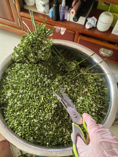 韭菜花怎么腌制好吃_韭菜花腌制视频教程-第1张图片-山城妙识 韭菜花怎么腌制好吃_韭菜花腌制视频教程-第1张图片-山城妙识
