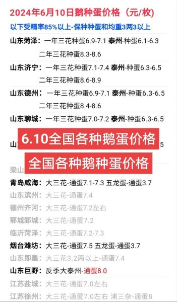鹅蛋价格多少钱一斤_鹅蛋价格为何波动大-第1张图片-山城妙识 鹅蛋价格多少钱一斤_鹅蛋价格为何波动大-第1张图片-山城妙识