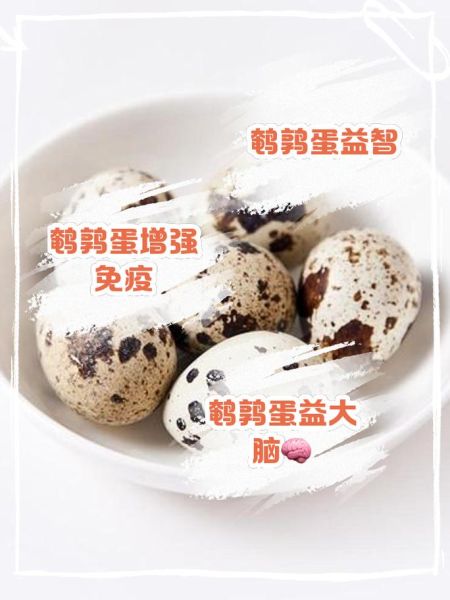 鹌鹑蛋的功效与作用及禁忌_鹌鹑蛋什么人不能吃-第1张图片-山城妙识