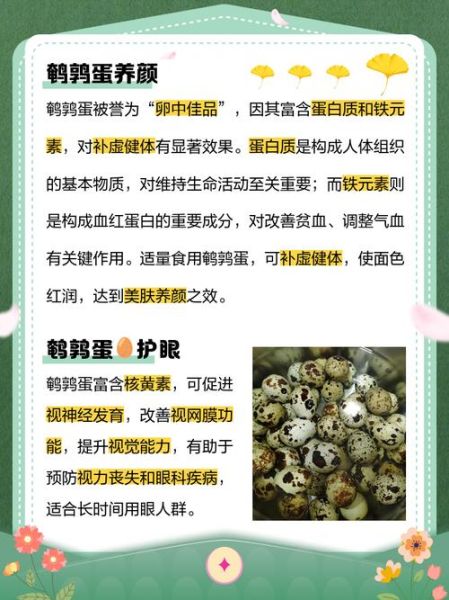 鹌鹑蛋的功效与作用及禁忌_鹌鹑蛋什么人不能吃-第3张图片-山城妙识