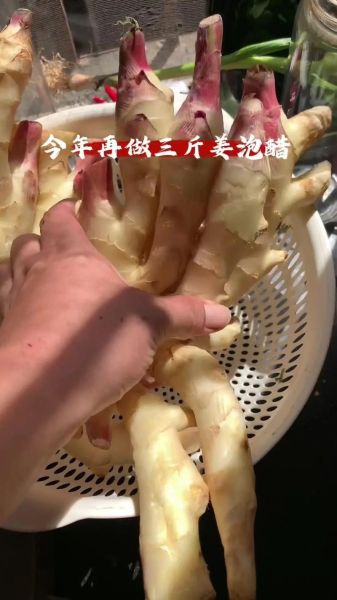 鲜姜怎么腌制_鲜姜腌制方法-第1张图片-山城妙识 鲜姜怎么腌制_鲜姜腌制方法-第1张图片-山城妙识