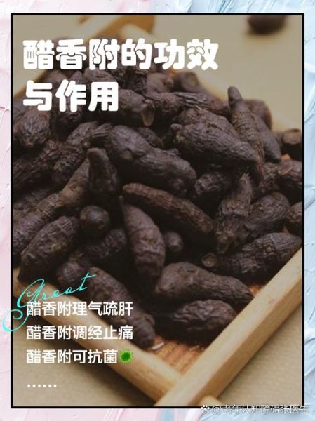 醋香附的功效与作用_醋香附主治什么病-第1张图片-山城妙识