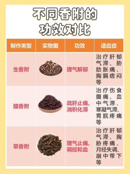 醋香附的功效与作用_醋香附主治什么病-第2张图片-山城妙识